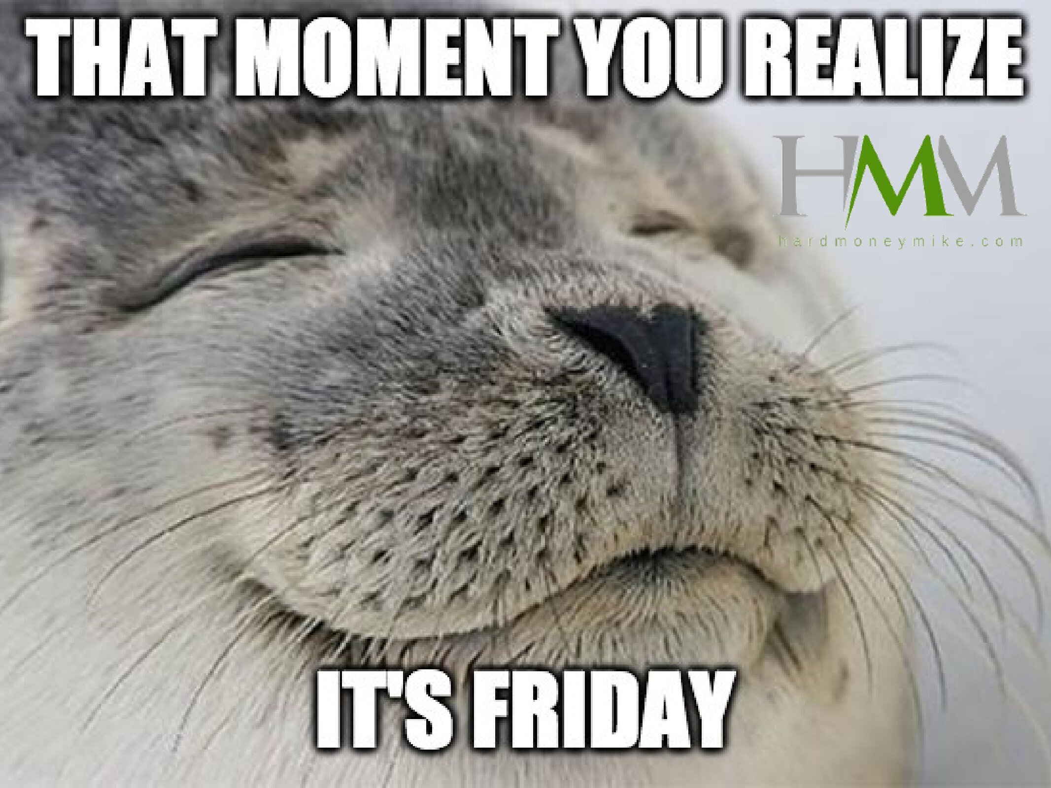 Have A Good Weekend Meme